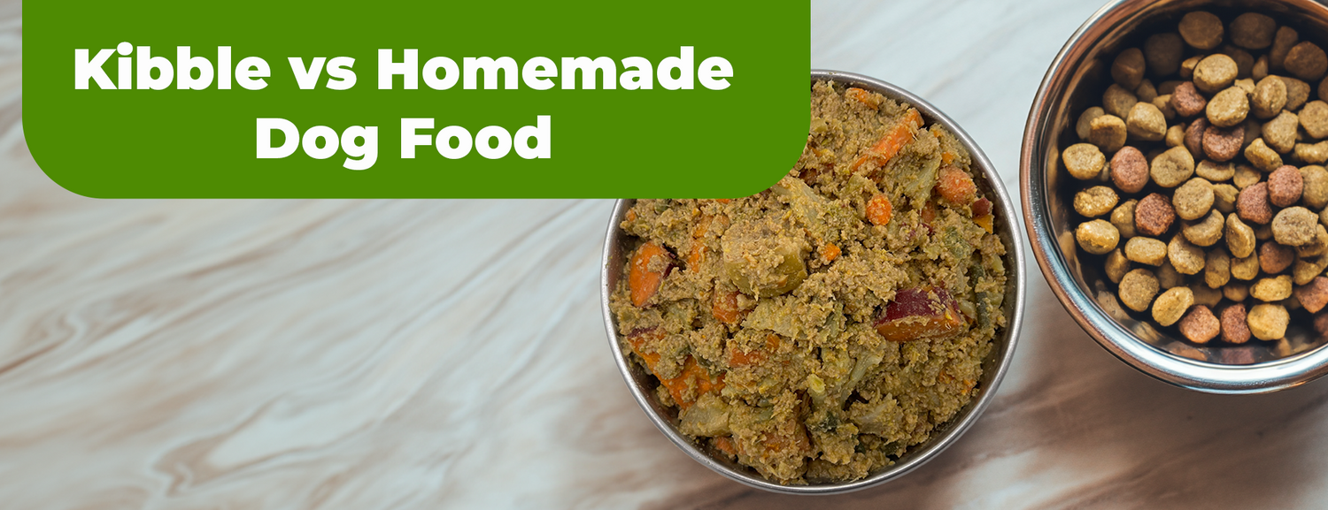 Kibble vs Homemade Dog Food – ChefPaw