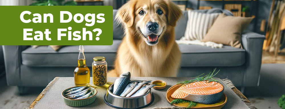 Nutrition – ChefPaw